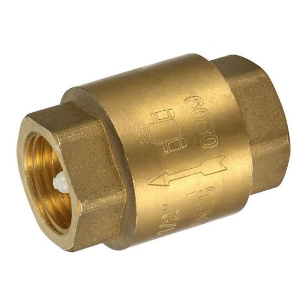 Brass Spring Check Valve | Bidgee Pumps & Irrigation